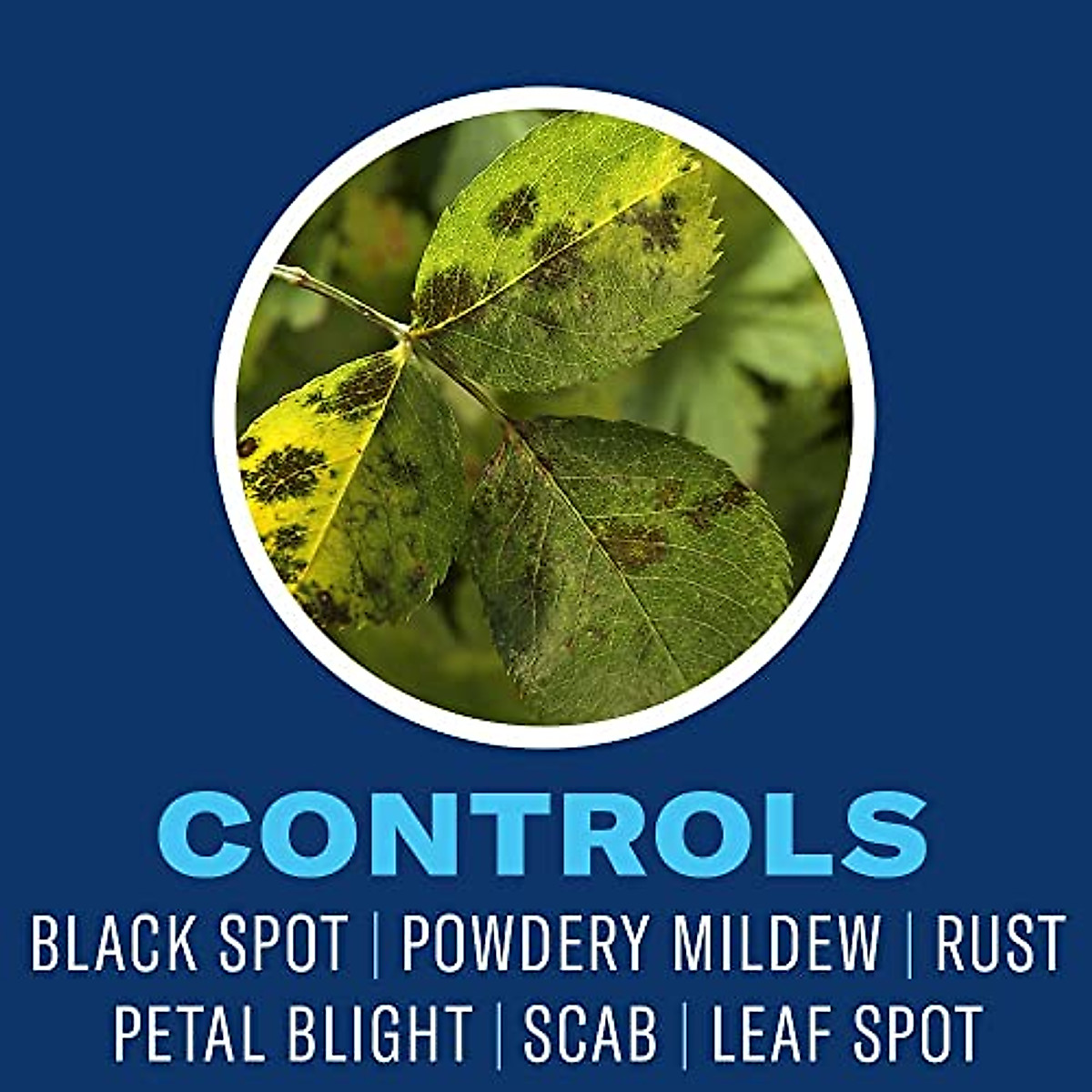 BioAdvanced All-In-One Rose & Flower Spray, Ready-to-Spray, 32 oz