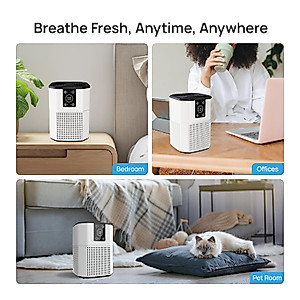 1 Pack Air Purifiers for Bedroom