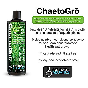 Brightwell Aquatics Chaeto GRO - Multi-Nutrient Supplement for Chaetomorpha Growth in All Marine Aquariums, 500 ML