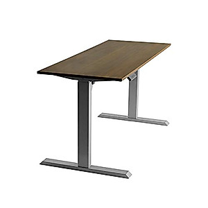 TechOrbits Electric Standing Desk Frame 60 x 24 Inch Tabletop - Motorized Workstation Two Leg Stand Up Desk with Memory Settings and Telescopic Sit Stand Height Adjustment (Grey Frame/Wood Top)