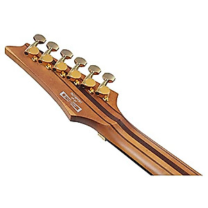 Ibanez Premium RGT1220PB Electric Guitar - Antique Brown Stained