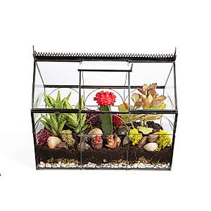 D'Eco Glass Greenhouse Plant Terrarium (10x4.5x9) - Indoor Tabletop Black Hinged Geometric Planter - Succulents, Air Plants, Moss, Fern - Home Garden Office Decor - Plant Lovers Gift (Terrarium Only)