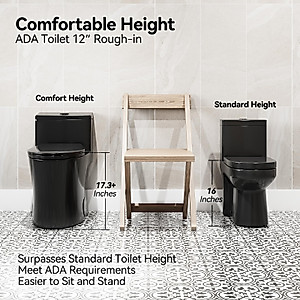 HOROW T0338WB Elongated One Piece Toilet Black, Compact Modern Toilet with Comfortable Seat Height, ADA Chair Height 17.3", Power Dual Flush 0.8/1.28 GPF & MAP 1000g, Matte Black, 12" Rough-in