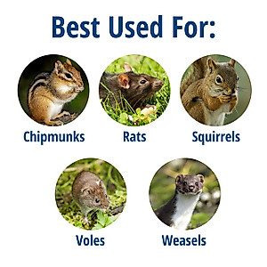 Havahart 0745 Extra Small 1-Door Humane Catch and Release Live Animal Trap for Squirrels, Chipmunks, Rats, Weasels, and Small Animals