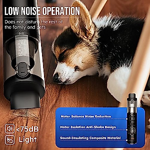 Coransi Car Vacuum Cleaner High Power 13000PA, Hand Vacuum Cordless Ultra-Lightweight 1.24lbs, Portable Car Vacuum Cleaner with Air Blower, Handheld Vacuum Wireless with LED for Pet Hairs