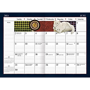 LANG American Cat 2024 Monthly Planner (24991012094)