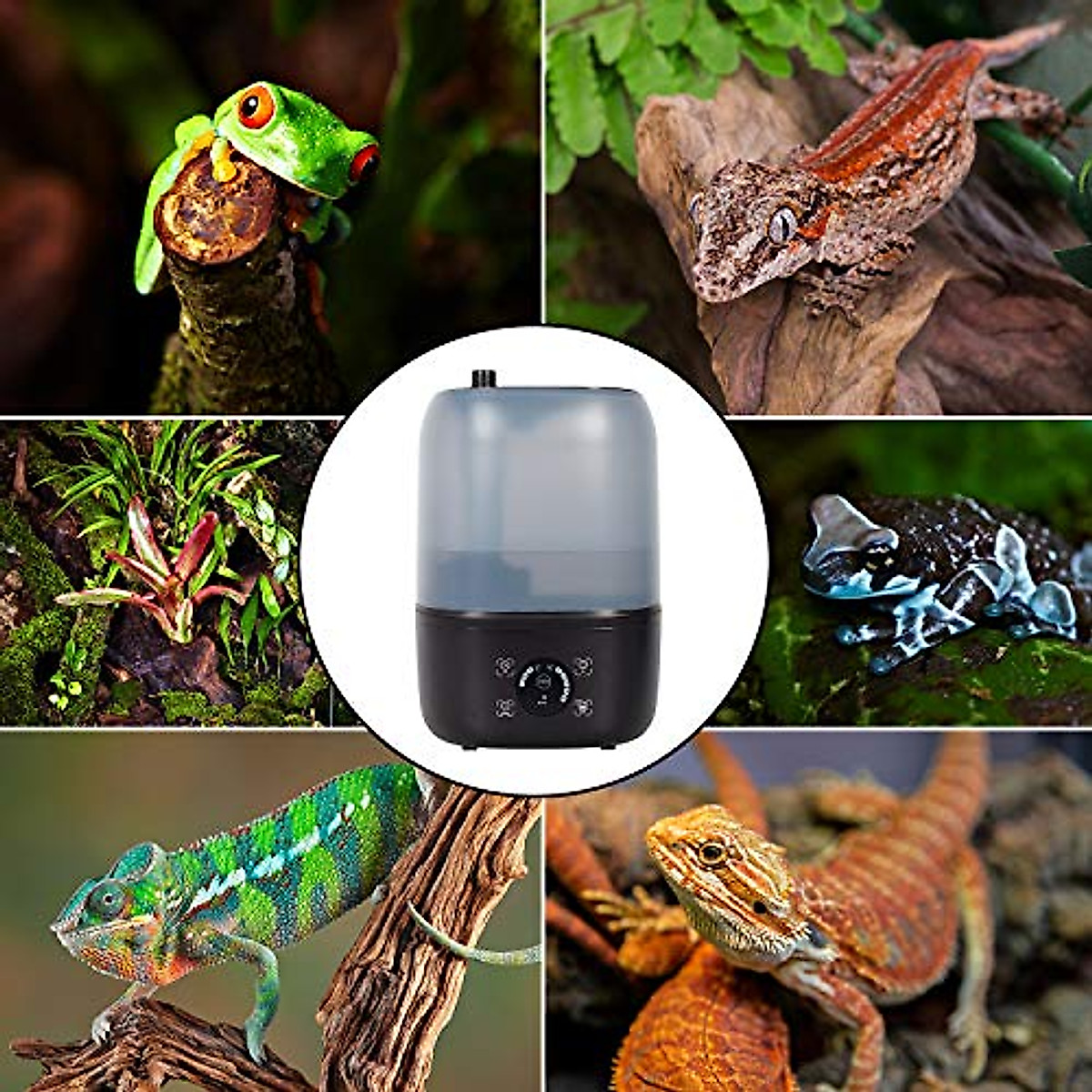 Evergreen Pet Supplies Reptile Humidifier/Fogger - 4L Tank - New Digital Timer - Add Water from Top! for Reptiles/Amphibians/Herps - Compatible with All Terrariums and Enclosures