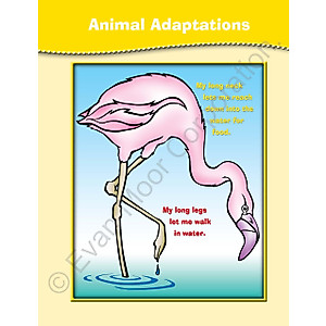 Take It to Your Seat Science Centers, Grades 3-4