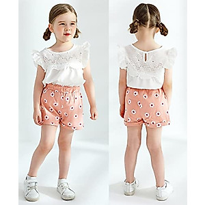Happy Town Toddler Kids Baby Girls Outfits Clothes T-Shirt Blouse Tops and Floral Shorts Pants Suit 2PCS Set (2T, Pink)