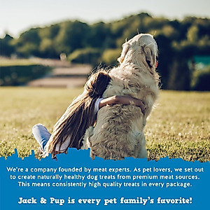 Jack&Pup 6-inch Gullet Sticks for Dogs – Odor Free Joint Health Support Dog Chews – Fresh and Savory Beef Gullet Sticks - Naturally Rich in Glucosamine and Chondroitin (25 Pack)