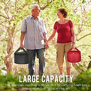 Luna GiftSet of 2 Polyester Fabric Round Thermal Casserole Carrier,Reusable Insulated Lunch Cooler Bag,Pie Carrier for Potluck,Picnics,Collapsible Cooler for HotCold Food,11X7 inch (Black Color)