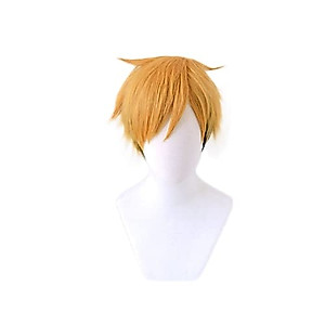 Liamiona Cosplay Short Wig Heat Resistant Synthetic Hair Anime Wig Halloween Carnival Party Wigs
