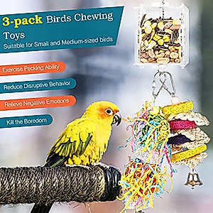 Lewondr Parrot Bird Toys Feeder Chewing Toy, Creative Parrot Shredder Entertaining Toy, Hanging Foraging Box, Transparent View Acrylic Bird Treat Feeder for Cockatiel, Budgie, Parakeet, Anchovies