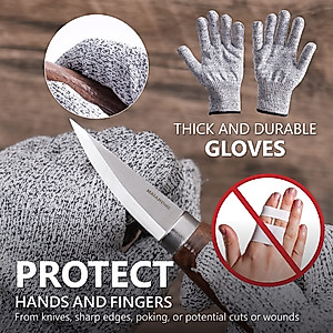 Wood Whittling Kit for Beginners - Experience Ideal for Novice Wood Carvers, Complete with 3 Carving Knives, 8 Basswood Blocks, and Safety Gloves. A Great Wood Carving Tools Set for Adults and Kids