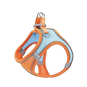 Richcatty 2.0 Step in Air Dog Harness with 59“ Pet Leash for Dogs&Cats-Super Breathable Stable and Lightweight No Feeling Design More Comfortable (Blend Orange, S(Pet Weight 8.8-12.1Lb))