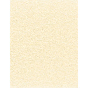 NextParch 8-1/2" x 11" (Letter Size) 65 lb. Parchment Cover Card Stock (Natural)