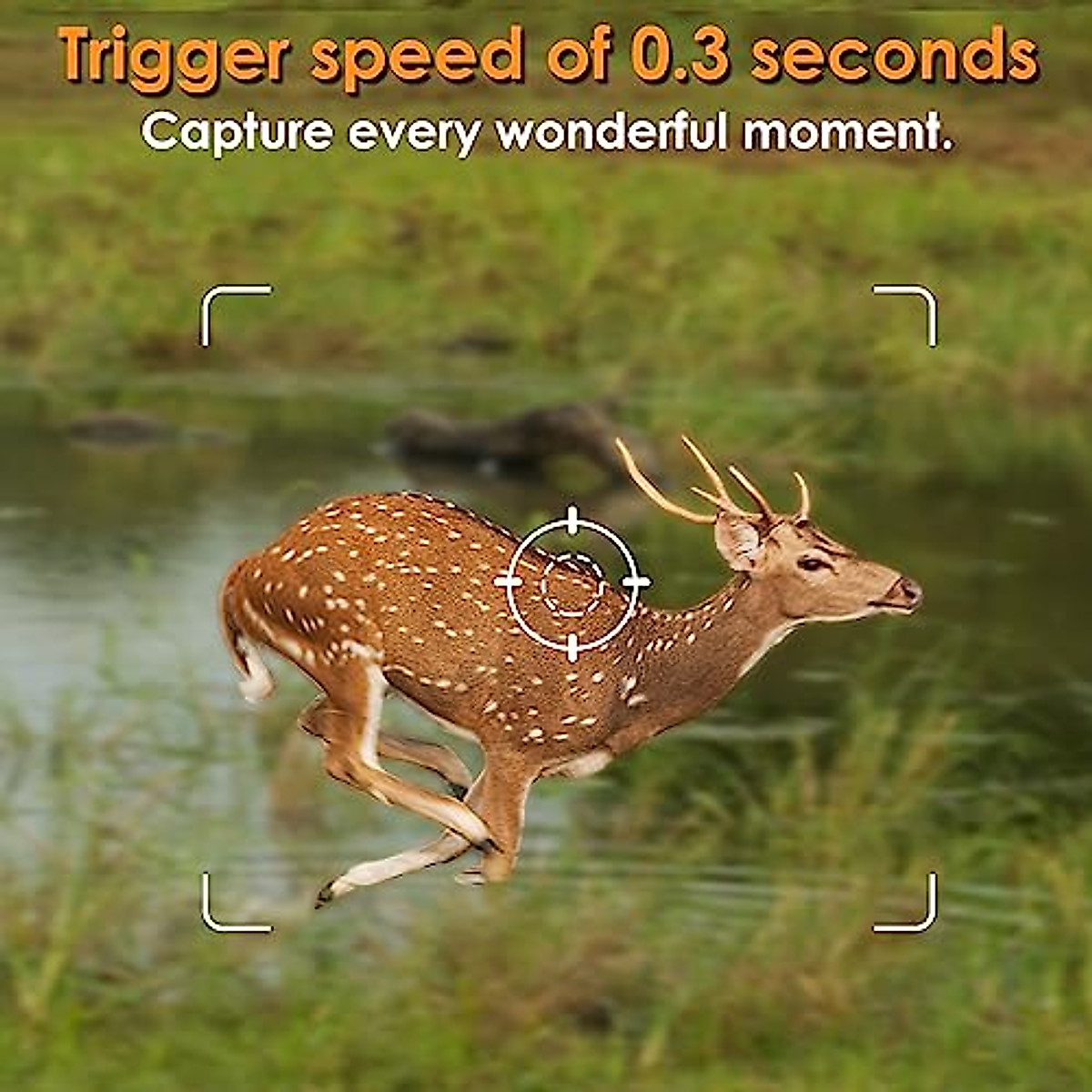 BLAZEVIDEO 4-Pack Game & Deer Trail Cameras 32MP 2304x1296P H.264 Video for Hunting Wildlife and Home Security No Glow Night Vision Time Lapse Motion Activated Waterproof & Password Protected