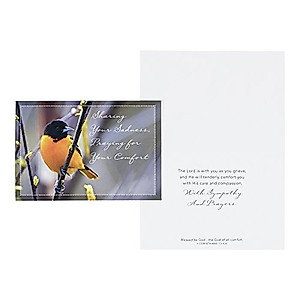 DaySpring - Sympathy - Comforting Thoughts - 12 Boxed Cards, KJV (60934),Multi