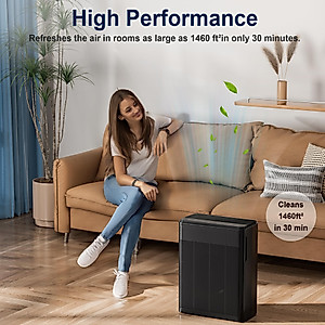 2-Pack P260 True HEPA Replacement Filter Compatible with AIUZLK P260 Air Purifier, 3-in-1 Filtration Filter.
