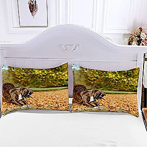 Quilt Cover Queen Size Boxer Dog 3D Bedding Sets Autumn Leaves Duvet Cover Breathable Hypoallergenic Stain Wrinkle Resistant Microfiber with Zipper Closure,beding Set with 2 Pillowcase