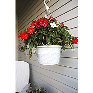 Curtis Wagner 10" Clear Hanging Basket Drip Pan Saucer (10-Pack)