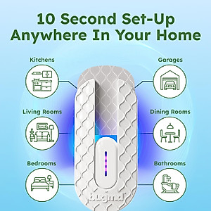 BugMD Fly Trap Indoor, Gnat Traps for House Indoor, Fruit Fly Trap, Gnat Killer Indoor, Plug in Bug Catcher, Indoor Fly Trap, Insect Traps Indoor, Fly Traps Indoor for Safer Home, Fruit Fly Killer