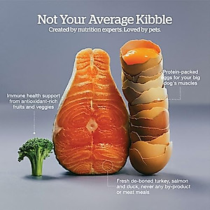 Now Fresh Grain-Free, Dry Dog Food, Real Meat and Fish, Turkey, Salmon and Duck Large Breed Senior Recipe, 25 lb Bag