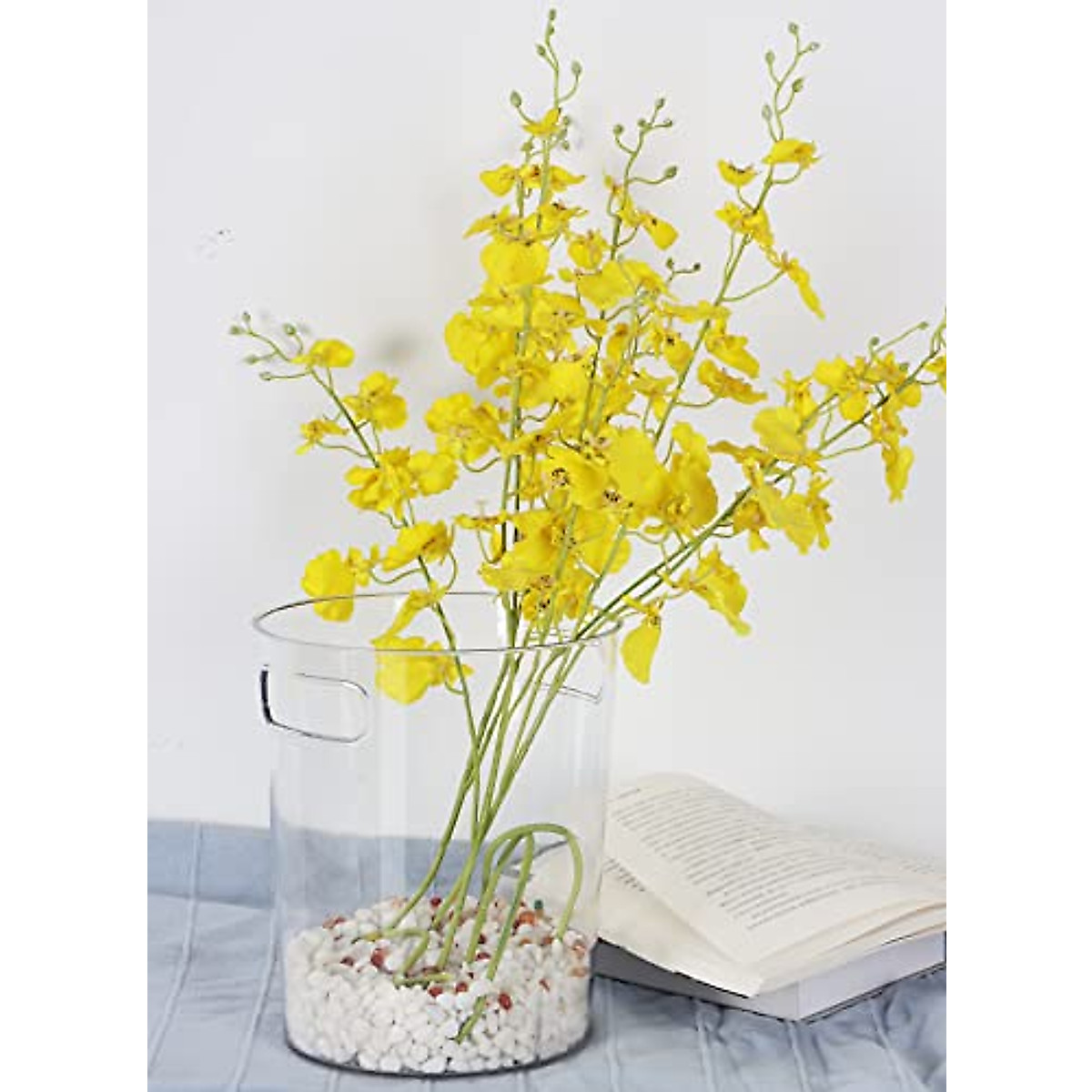 SAROSORA Trash Can 1.3 Gallon / 5 Liter 2-Pack Portable Small Wastebasket Mini Garbage Can Ice Bucket for Kitchen Bathroom Office Bedroom Living Room (Transparent, 2)