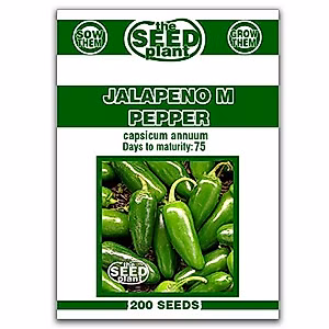 Jalapeno M Pepper Seeds - 200 Seeds Non-GMO