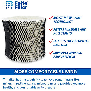 Fette Filter - HWF-64 Humidifier Filter B Wick Replacement Compatible with Holmes HWF64 Filter B for models HM-1645 HM-1730 HM-1745 HM-1750 HM-2200 & Bionaire BWF-64 includes 2 QTY.