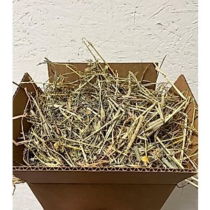 Natural Timothy Hay for Guinea Pigs,Timothy hay for Horses, Timothy hay for Hamsters, Timothy hay for Rabbits & Other Small Animals, High-Fiber Hay for Rabbits & Guinea, Fresh & Sun-Dried
