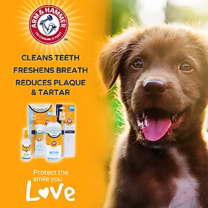 ARM & HAMMER Fresh Spectrum Coconut Mint Dog Dental Spray, 118ml, Best Dental Care for Dogs, Removes Plaque & Tartar, Freshens Breath, Gum & Teeth Cleaning, No Brushing, Easy to Use Pet Oral Hygiene