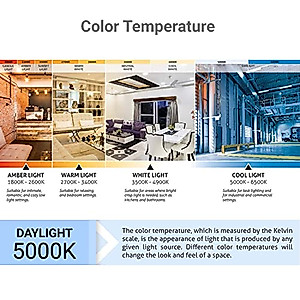 Sunlite 80881-SU LED A19 Standard Light Bulb, 11 Watts (75W Equivalent), 1100 Lumens, Medium Base (E26), Dimmable, UL Listed, Energy Star, 5000K Daylight, 1 Count