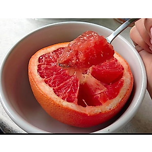 Rocky Mountain Goods Grapefruit Knife and Spoons Set - Curved Serrated Blade Knife and Two Grapefruit Spoons with Serrated Edge - Stainless Steel