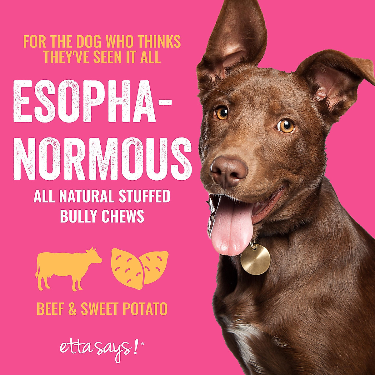 etta says! Esophonormous Esophagus Stuffed Bully Sticks Dog Chews - 5 inch All Natural High Protein Beef and Sweet Potato Chews - Made in The USA (20 Count Pack of 1)