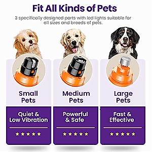 Dog Nail Grinder With LED Light,Powerful 2-Speed Motor Painless Electric Dog Nail Trimmers Professional Super Quiet Dog Nail Clipper Set for Small Medium Large Dogs & Cats Paws Grooming & Smoothing