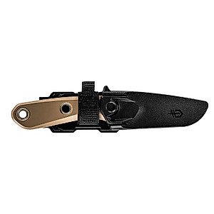 Gerber Gear Principle - Fixed Blade Knife for Hunting, Fishing & Camping Gear - Coyote Brown