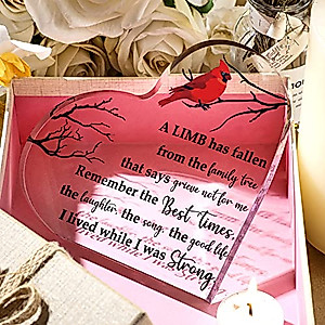 Cardinal Sympathy Gift Red Gifts Decor Memorial Bereavement Gift Crystal Acrylic Glass Heart Memorial Gift Condolence Gift for Loss of Loved One Table Remembrance Decoration Grieving Gift, 6 x 6 Inch