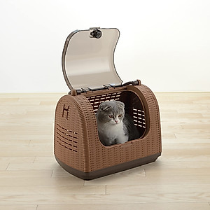 Richell Faux Wicker Pet Carrier, Travel Carrier for Small Dog and Cat with Clear Top Door