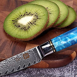 Dnifo Classic Paring Knife 3.5 Inch, Damascus Steel Japanese Knife - Sharp fruit knife for Peeling, Cutting, and Slicing - Non-stick Blade and Anti-rusting Forged Cutlery Knife