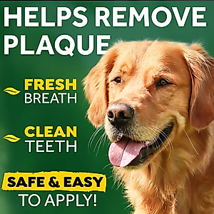TropiClean Fresh Breath for Dogs | No Brush Dental Gel for Dogs | Dog Dental Gel & Toothpaste for Plaque, Tartar & Stinky Breath | Made in the USA | 4 oz.