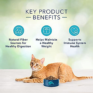 Blue Buffalo Freedom Grain Free Natural Indoor Adult Dry Cat Food, Chicken 11-lb