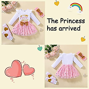 XIFAMNIY Baby Girls Princess Embroidery Pink Infant Newborn 3PCs Bodysuit Dress Tutu Skirt Coming Home Outfit Set for Fall and Spring
