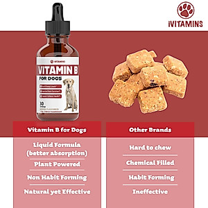 Vitamin B for Dogs | Vitamin B Complex for Dogs | Vitamin B12 for Dogs | Dog Vitamins | B12 Vitamins for Dogs | Vitamin B Dog Supplements | B Complex for Dogs | B12 for Dogs | Do1 fl oz: Bacon Flavor