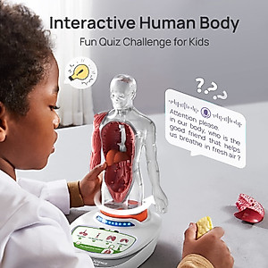 Science Can Human Body Model for Kids, Interactive Human Anatomy Talking Model - 11 Inch Realistic Anatomical Assembly Kit 15PCS Removable Parts and Guide STEM Educational Toys for Kids Aged 6+ Gifts