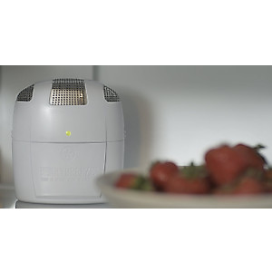 Berry Breeze Activated Oxygen Refrigerator Deodorizer-2023Model