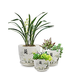 Dahlia Set of 3 Hand Painted Ceramic Planter/Plant Pot/Flower Pot w. Attached Saucer, Orchid