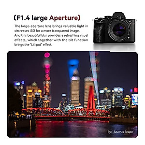 TTartisan 50mm F1.4 Tilt Lens, Compatible with Full-Frame Sony E-Mount Mirrorless Cameras Alpha a7 a7II a7III a7R a7RII a7RIII a7RIV a7S a7SII a9 a7C