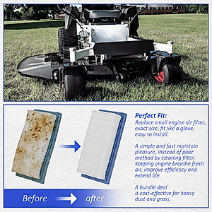 HASME Air Filter Cartridge Replacements for BRIGGS STRATTON 496077 691643 Generac 0691643 1691643 691643 John Deere AM34093 Fits for Briggs Stratton 176400 19B400 19E400 19F400 19G700