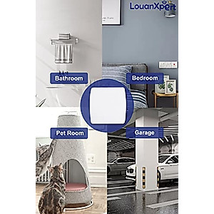 LouanXpert 4 Inch Exhaust Fan, 76CFM Bathroom Wall Exhaust Fan, Kitchen Exhaust Fan with Anti-backflow Check Valve, 3.3Ft US Cord for Kitchen, Greenhouse, Garage